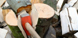 BackyardGadget – Yard care tools and advice