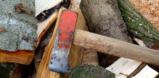 BackyardGadget – Yard care tools and advice