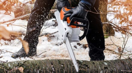 The Top 10 Best Chainsaw Brands in 2020 – BackyardGadget