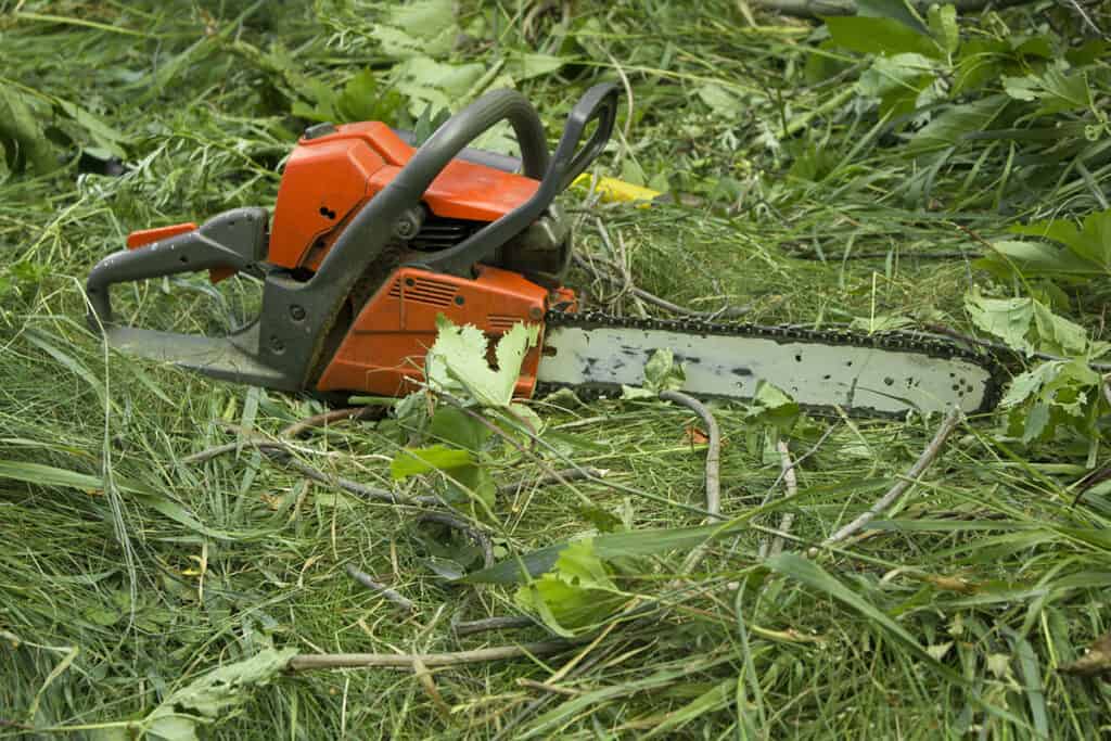 Here’s What To Do If Your Chainsaw Won’t Stay Running – BackyardGadget
