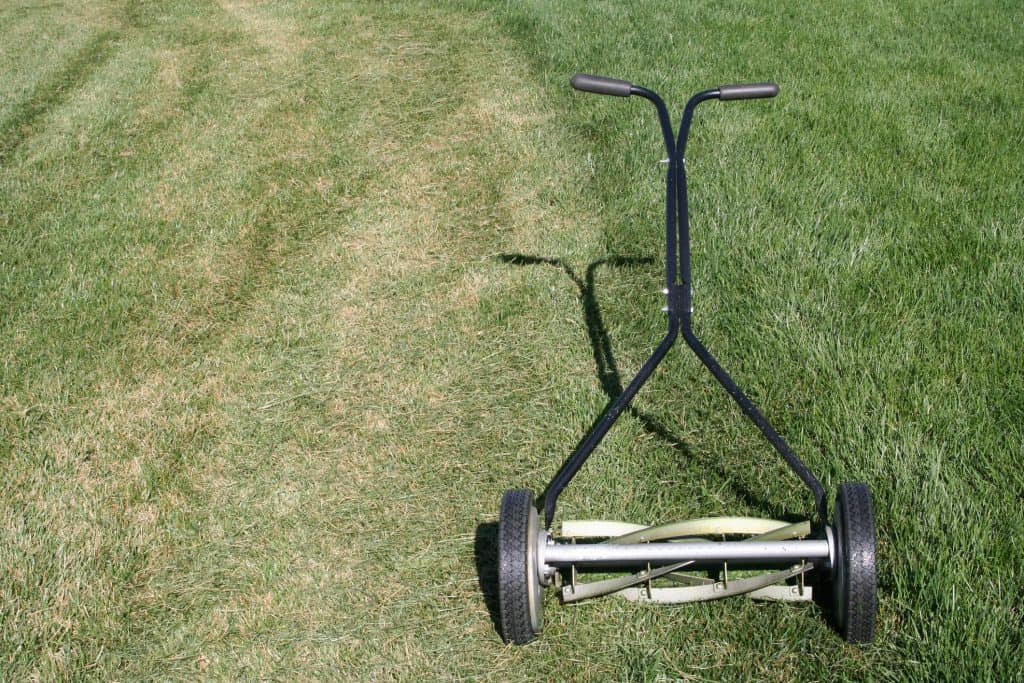 How Do You Use A Push Reel Mower – All You Need To Know – BackyardGadget